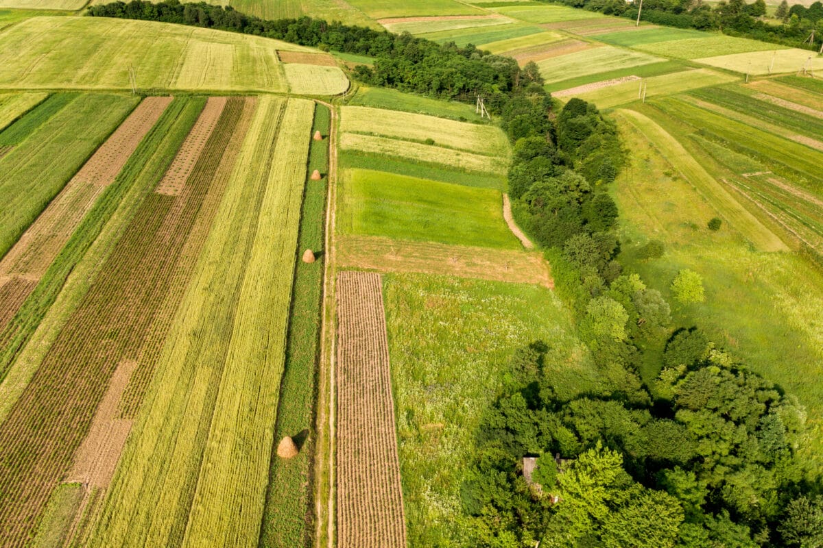 Vacant land near Florence eyed for development - Rose Law Group Reporter