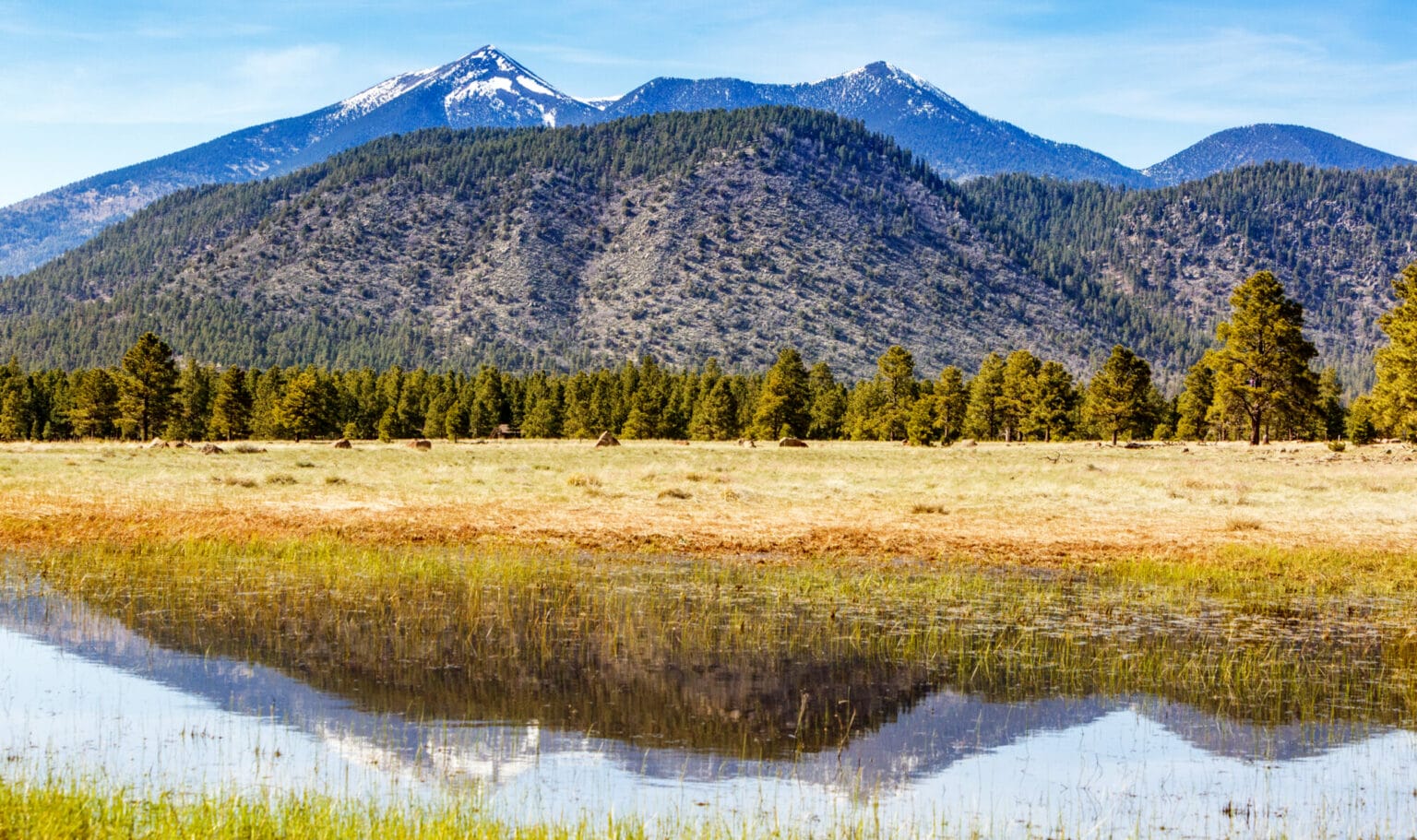 Flagstaff council approves change to zoning for middle housing - Rose ...