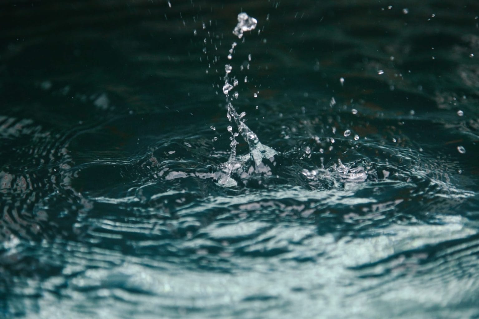 Rose Law Group Founder & President Jordan Rose: ‘Congratulations to ...